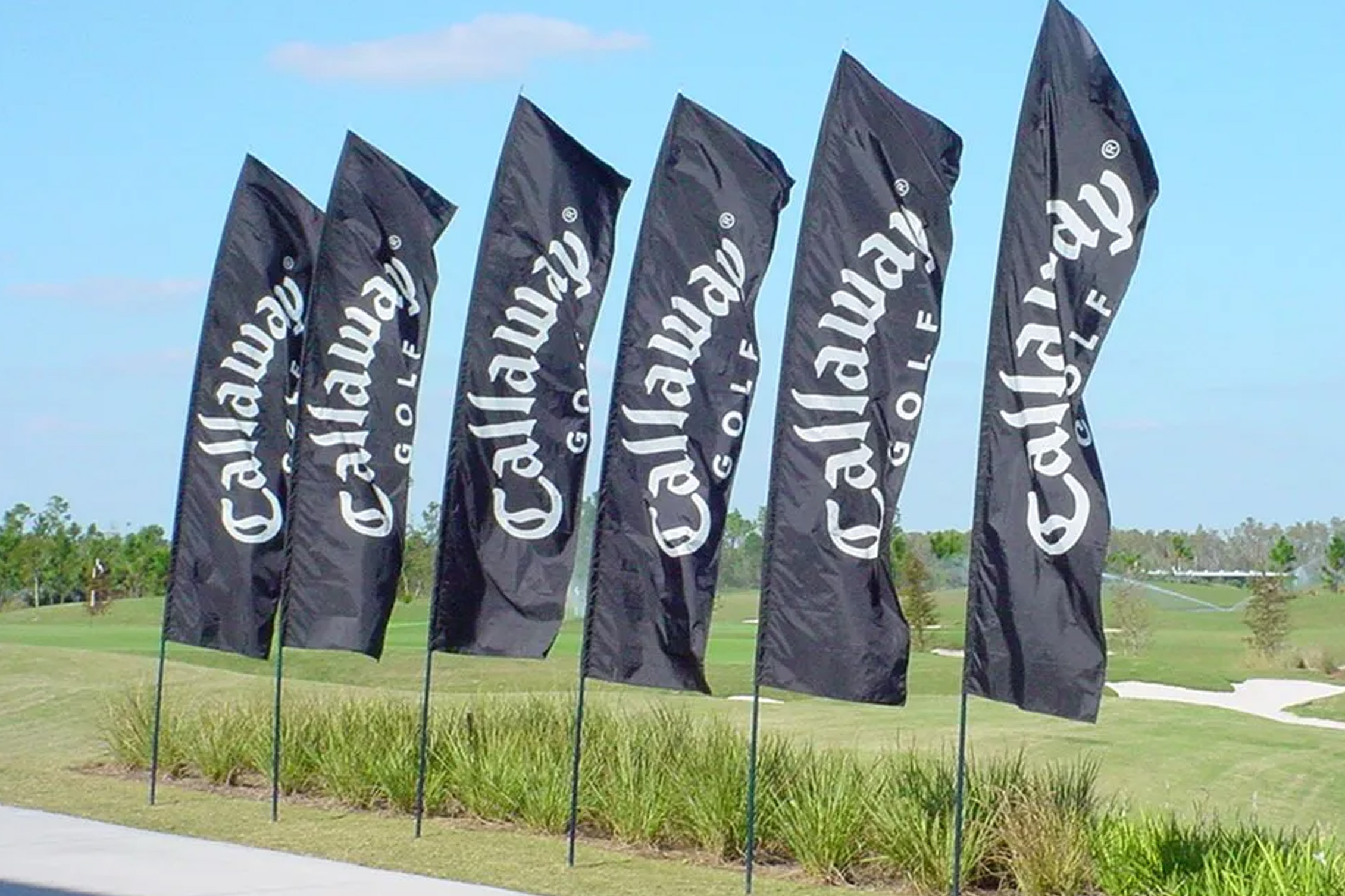 Designing Eye-Catching Feather Banners - Kiteman Group