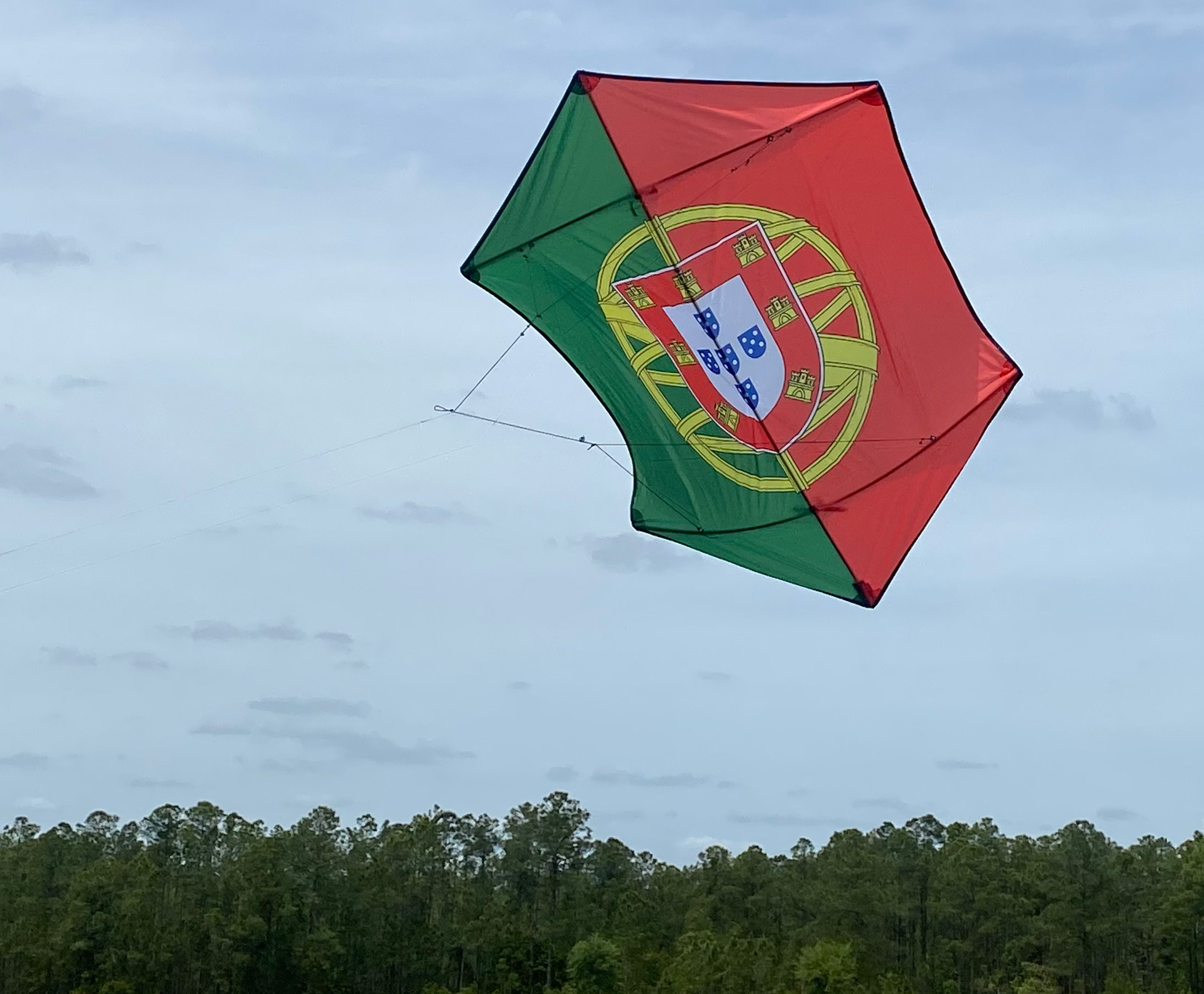 Custom Dye-Sublimation Kite - Kiteman Group